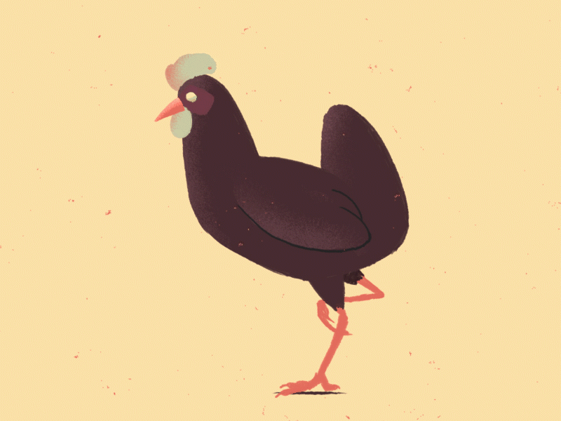 Chicken Walk-cycle by Tomer Malcov on Dribbble