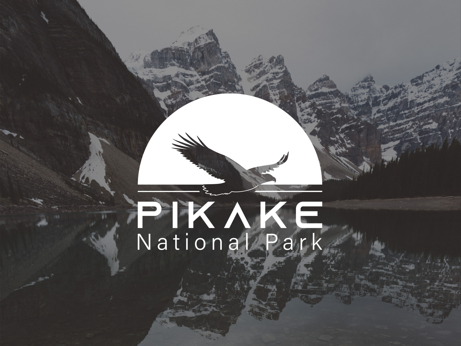 Daily Logo Challenge Day 20 by Carine AUGÉ on Dribbble