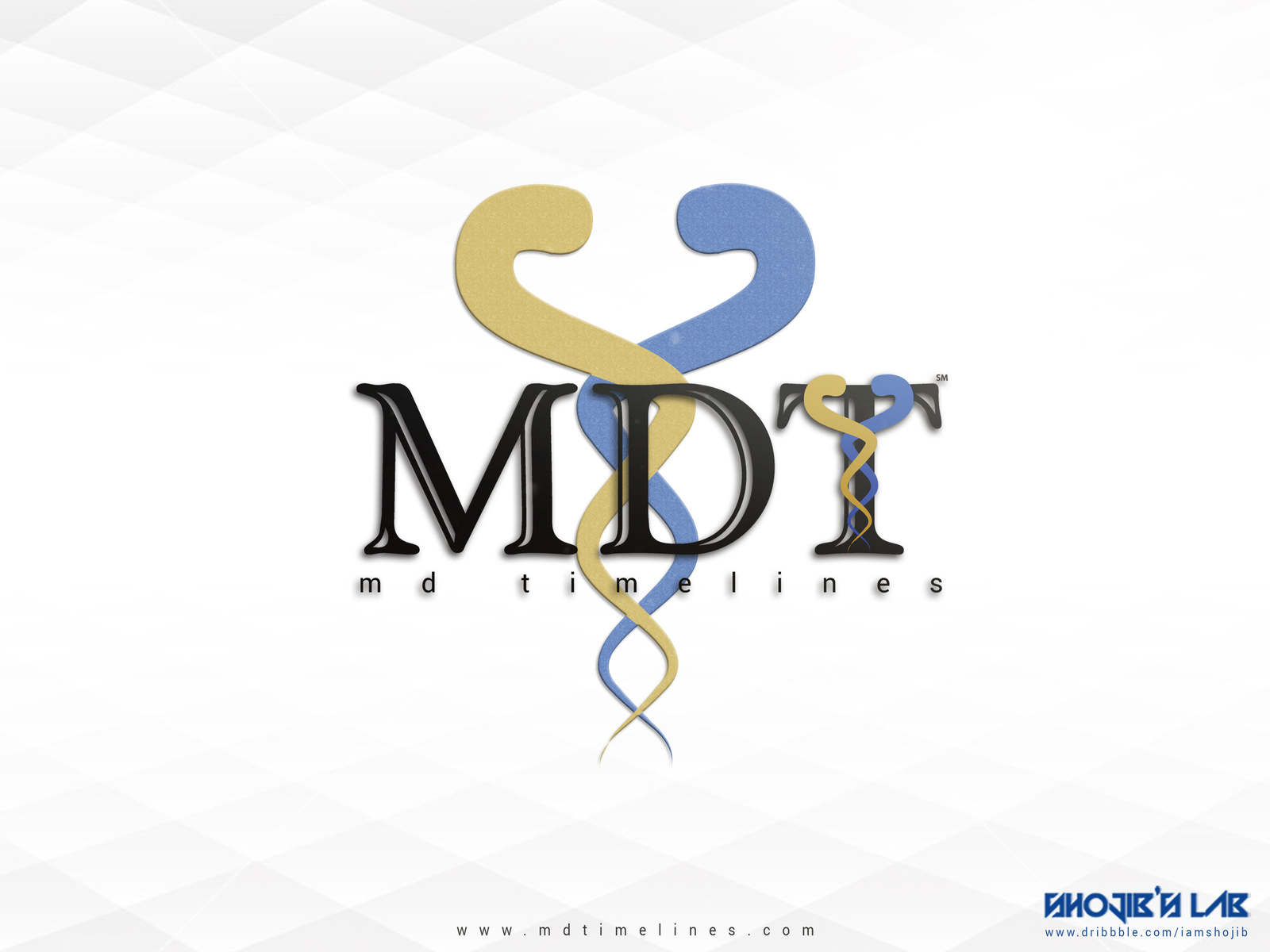 MDT Logo | MDTimelines Logo by Mohammad Shojib Ahmed on Dribbble