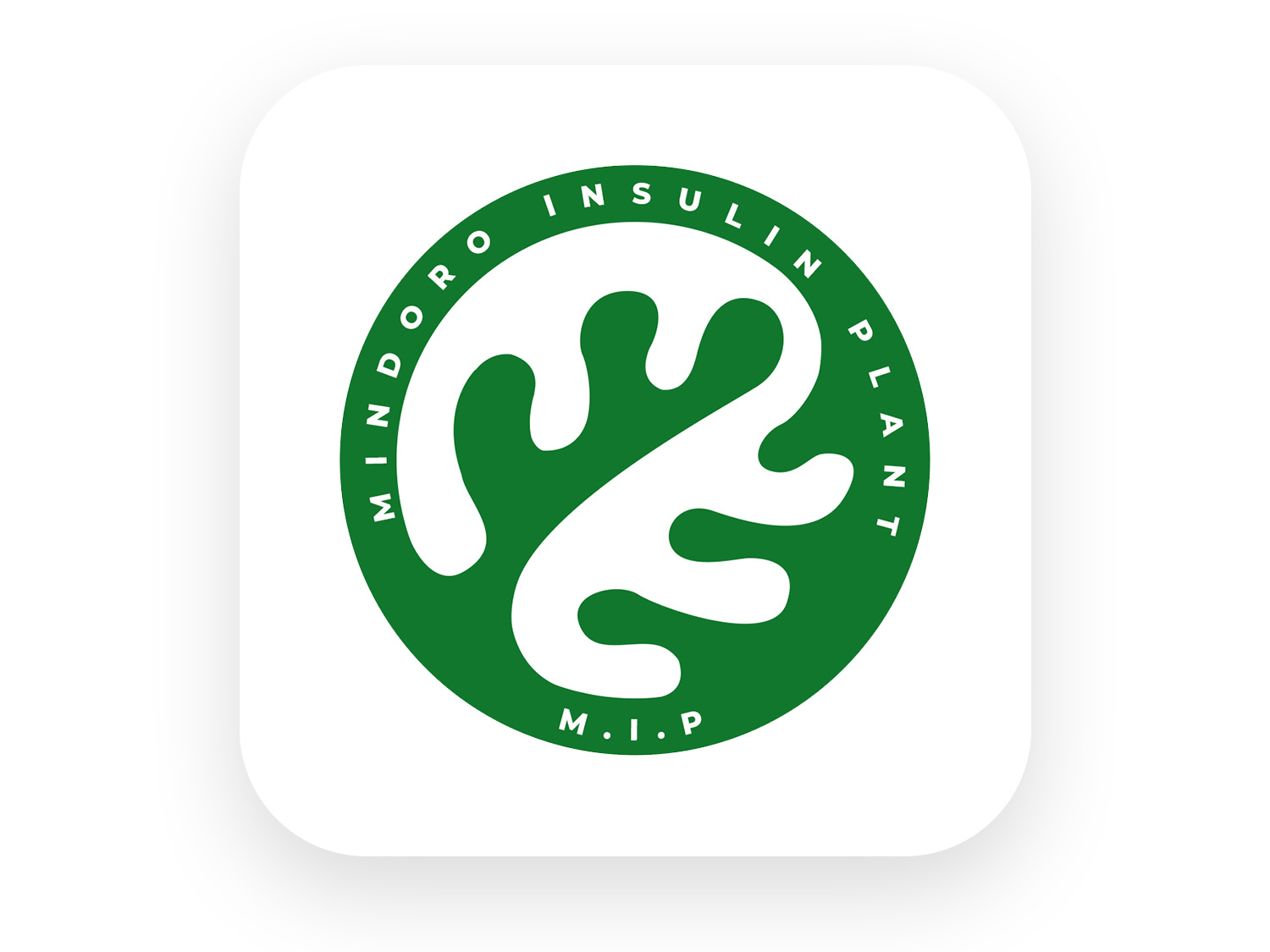 Mindoro Insulin Plant by Lourd Rancy on Dribbble