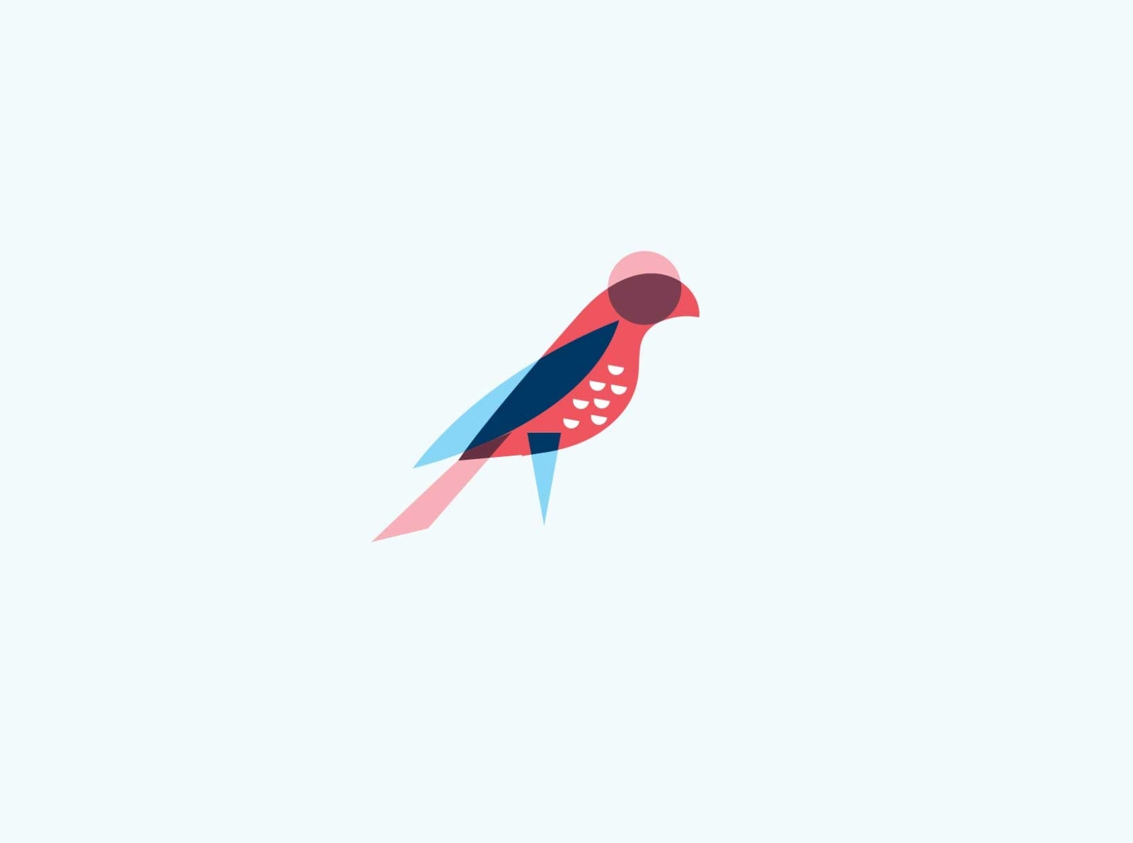 Bird transparent by Arnadi on Dribbble