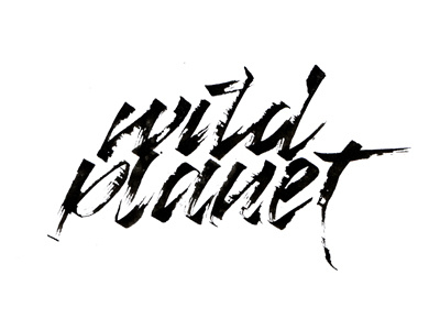 Wild Planet by Evgeny Tkhorzhevsky on Dribbble