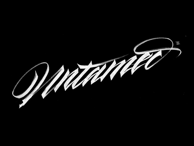 Untamed Calligraphy Logo by Evgeny Tkhorzhevsky on Dribbble