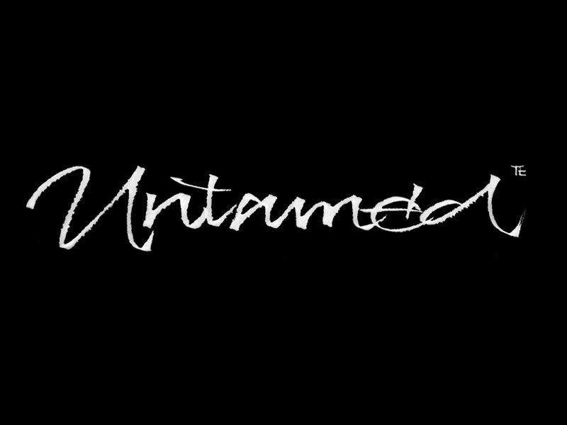 Untamed Calligraphy Logo by Evgeny Tkhorzhevsky on Dribbble