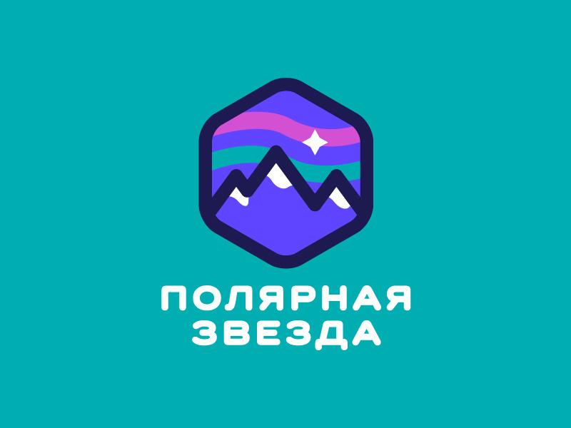 Polar star by Standpoint on Dribbble