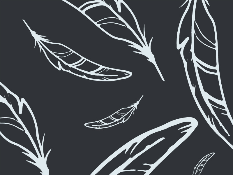 Feather by Standpoint on Dribbble