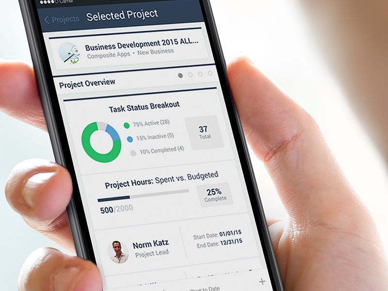 Mobile App Project Management Overview by Cody Thompson on Dribbble