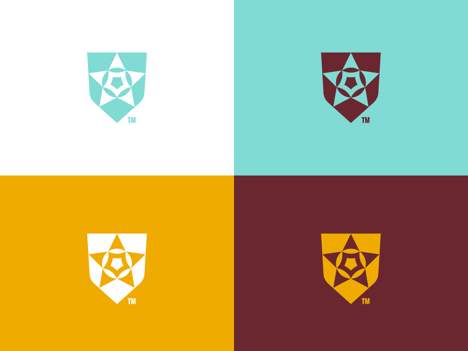 Star & Shield - Logo Concept by Madison Carr on Dribbble