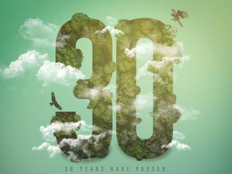 30 years by Janakiram Bammidi on Dribbble