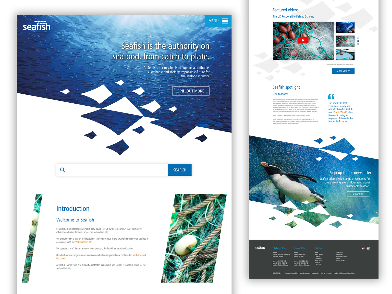 Seafish Website by Dan Pinn on Dribbble