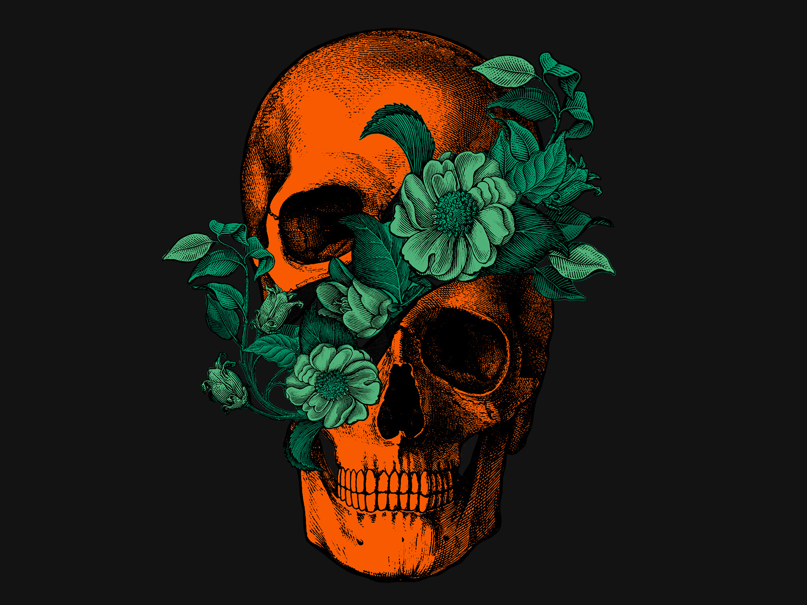 Split Skull Art by Monzurul Hasan on Dribbble