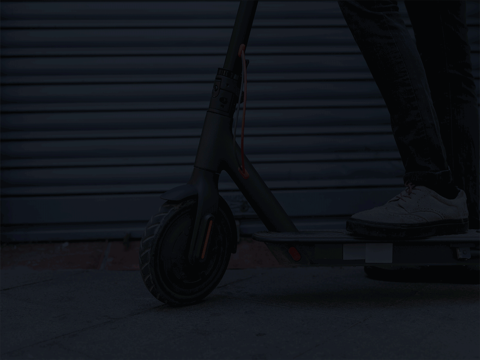 Swag logo animation by aviad malichi on Dribbble