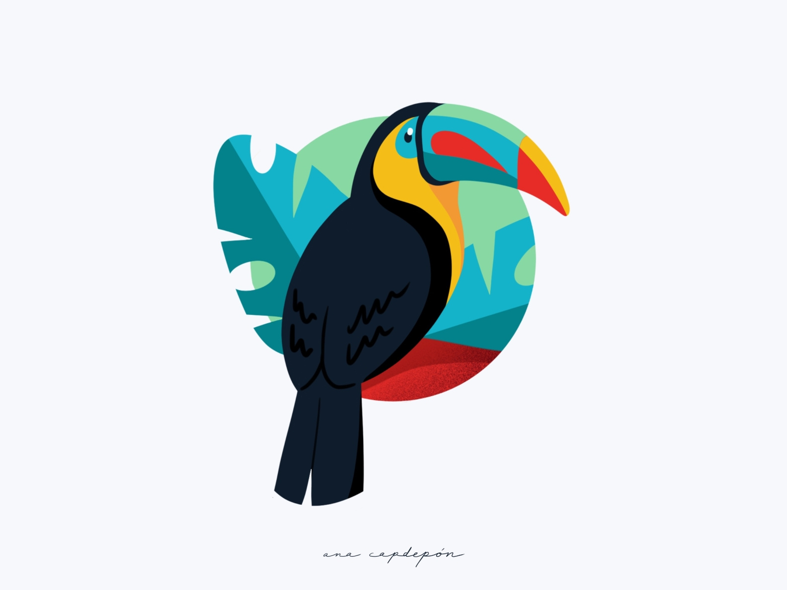 Tuki by Ana Capdepón on Dribbble