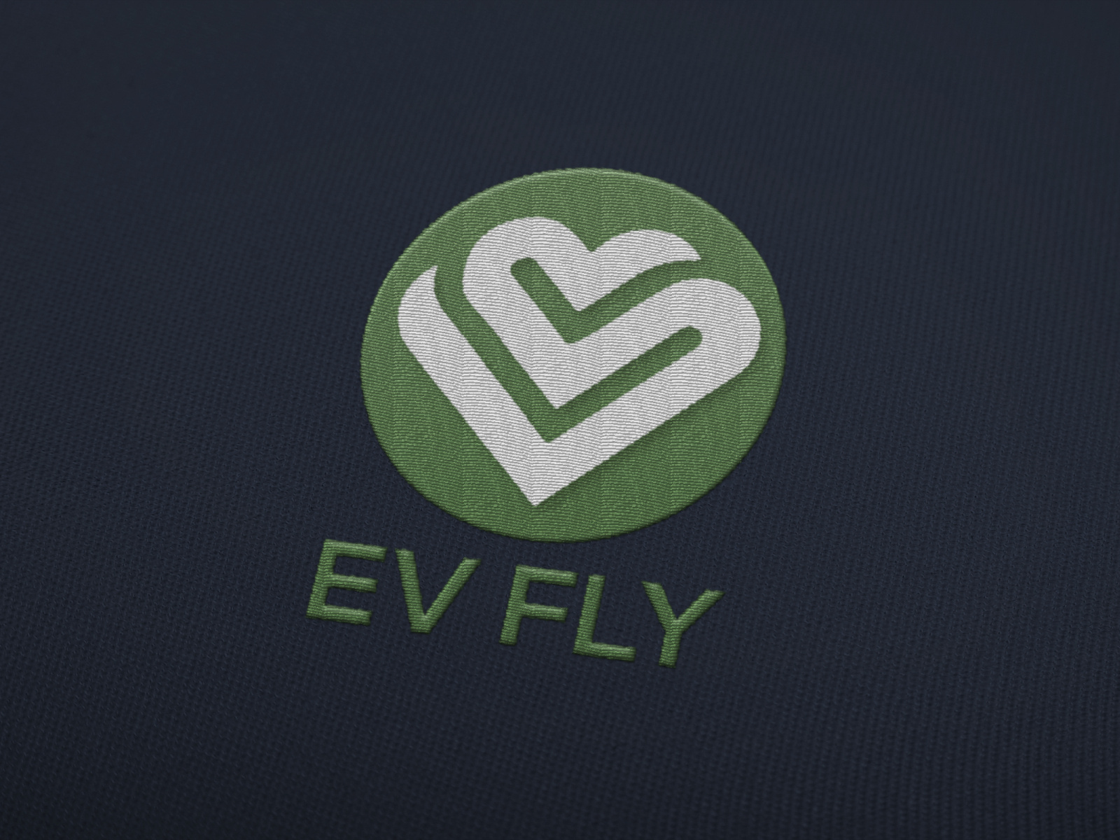 EV FLY by Touker Ahamed on Dribbble