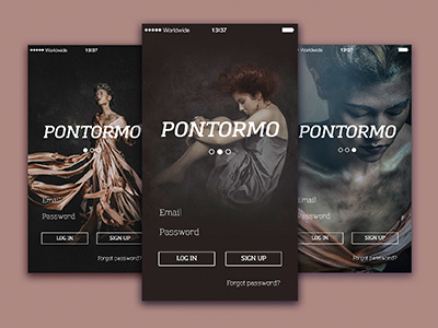 Login Screens. Fashion App by Maria Mukha on Dribbble