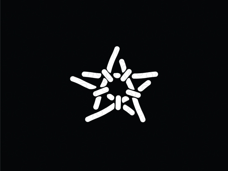Star Drawn Logo by LOGOHOKO on Dribbble
