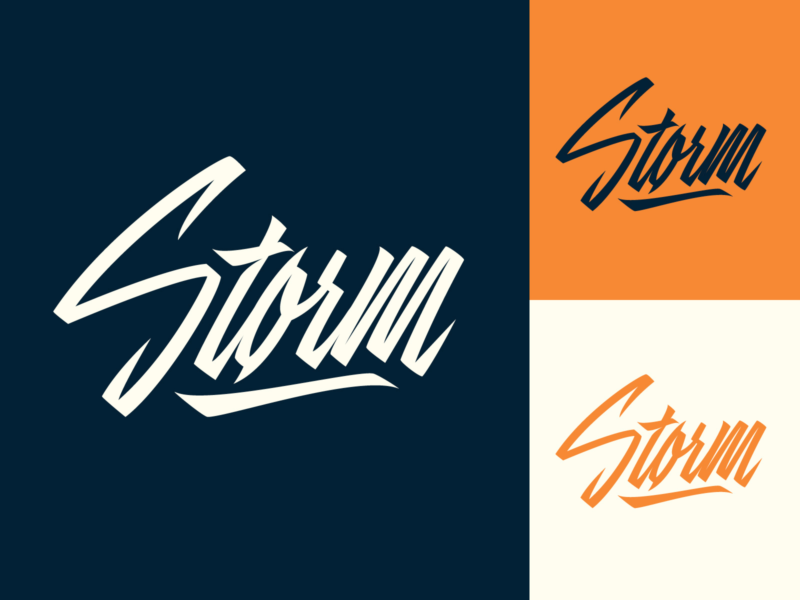 Storm - Logo for Porsche-tuning company by Yevdokimov on Dribbble