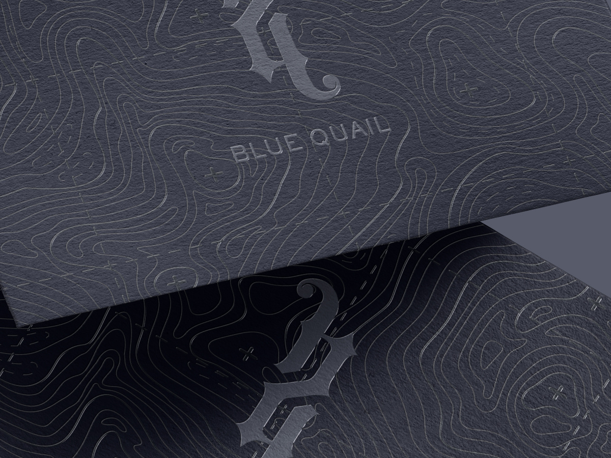 Blue Quail by Visionary Playground on Dribbble