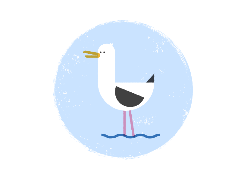 Sea Gulling by Jason Smith on Dribbble