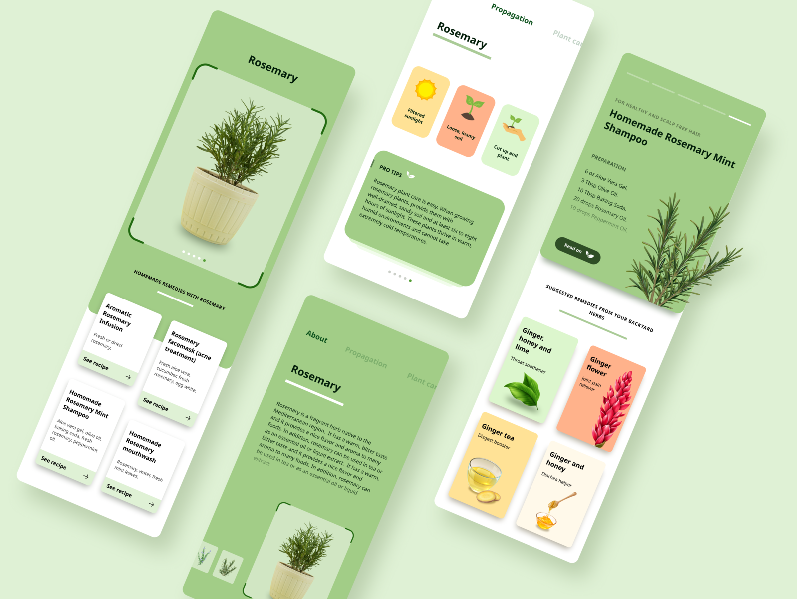 Backyard herb and plant app by Ngân Lê on Dribbble