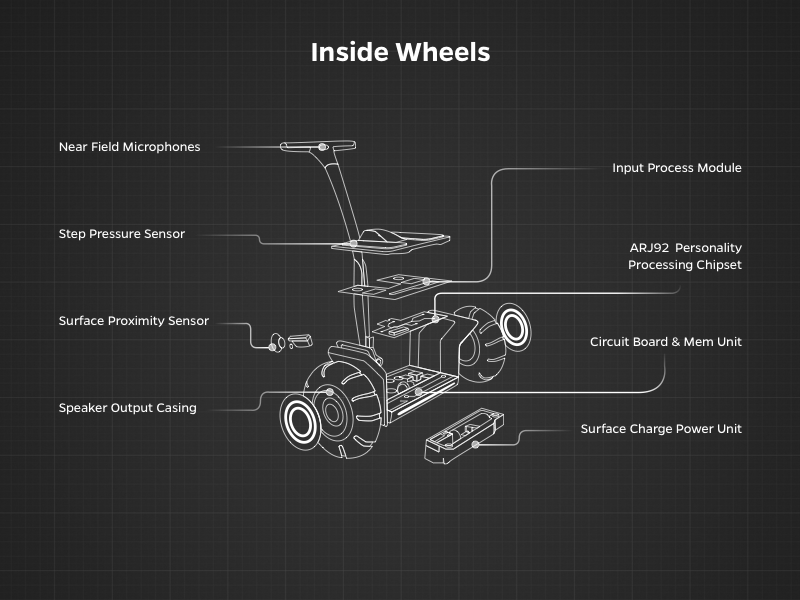 Cross Section Of A Wheel