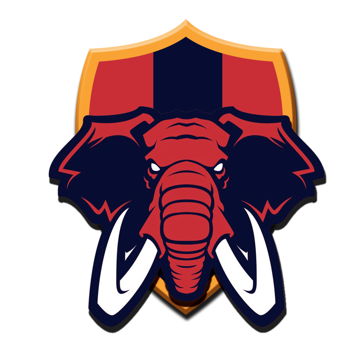 Bellary Tuskers team logo by Jiga Designs on Dribbble