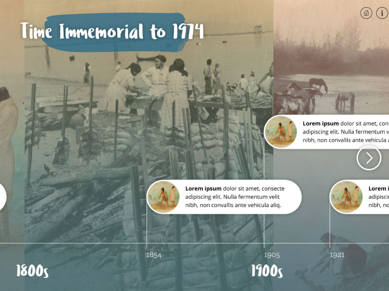 Interactive Timeline Activity Designs by Interactive Mechanics on Dribbble