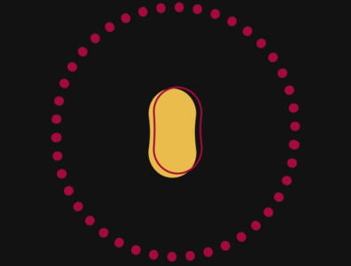 Magic Potato II by Mara Barros on Dribbble