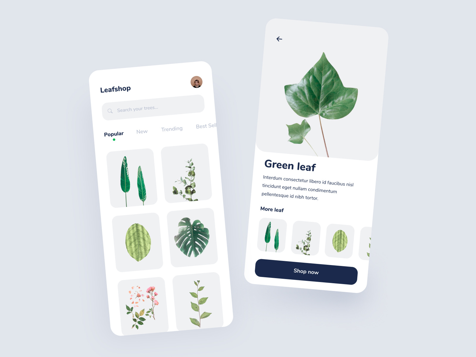 Leaf shop app concept by Saiful Bahri on Dribbble