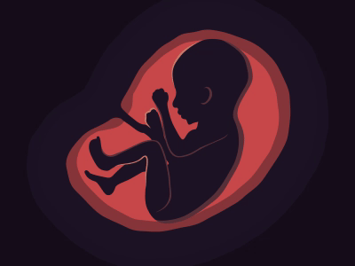 🤰🏻 Pregnancy 👶🏻 Fetal Development by Vivi Garleone on Dribbble