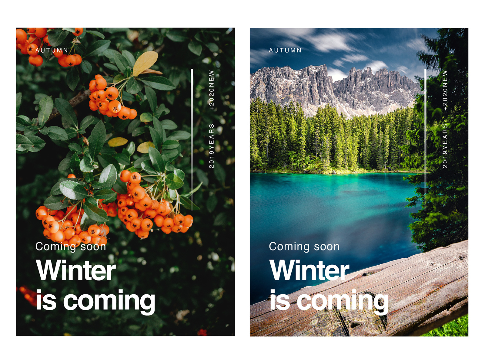 Winter is here, again by hua on Dribbble