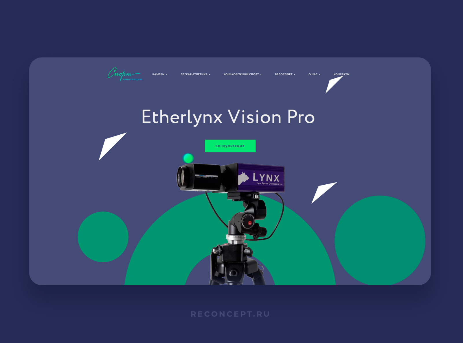 Lynx in Russia by Azalia Reco on Dribbble