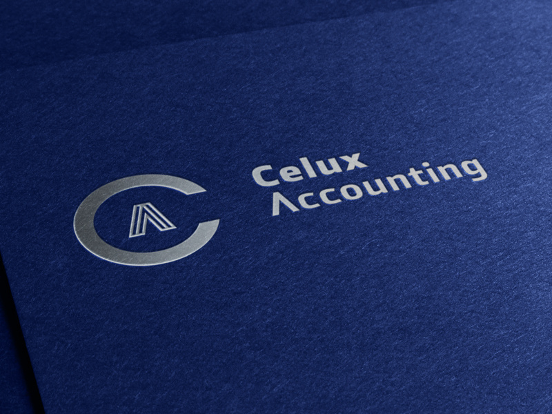 Celux Accounting by Dan Ostafi on Dribbble