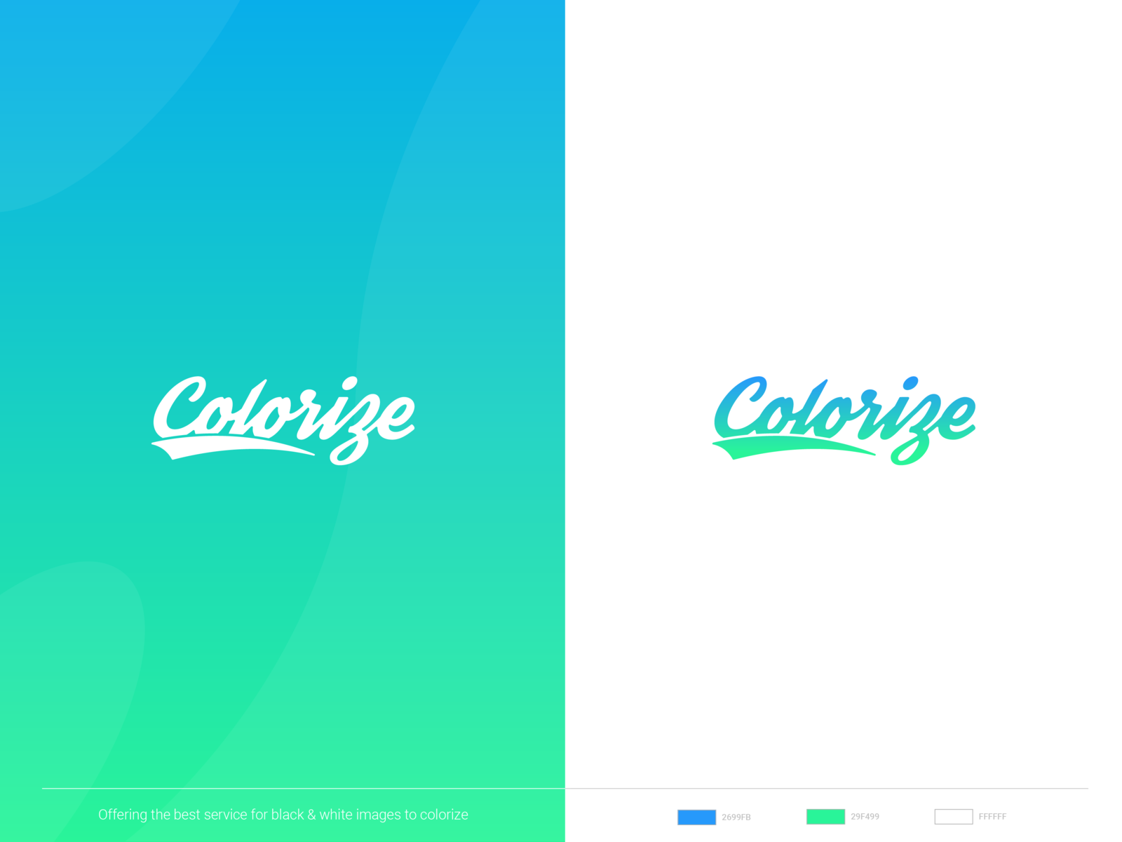 Colorize Logo by Muhammad Sohail on Dribbble
