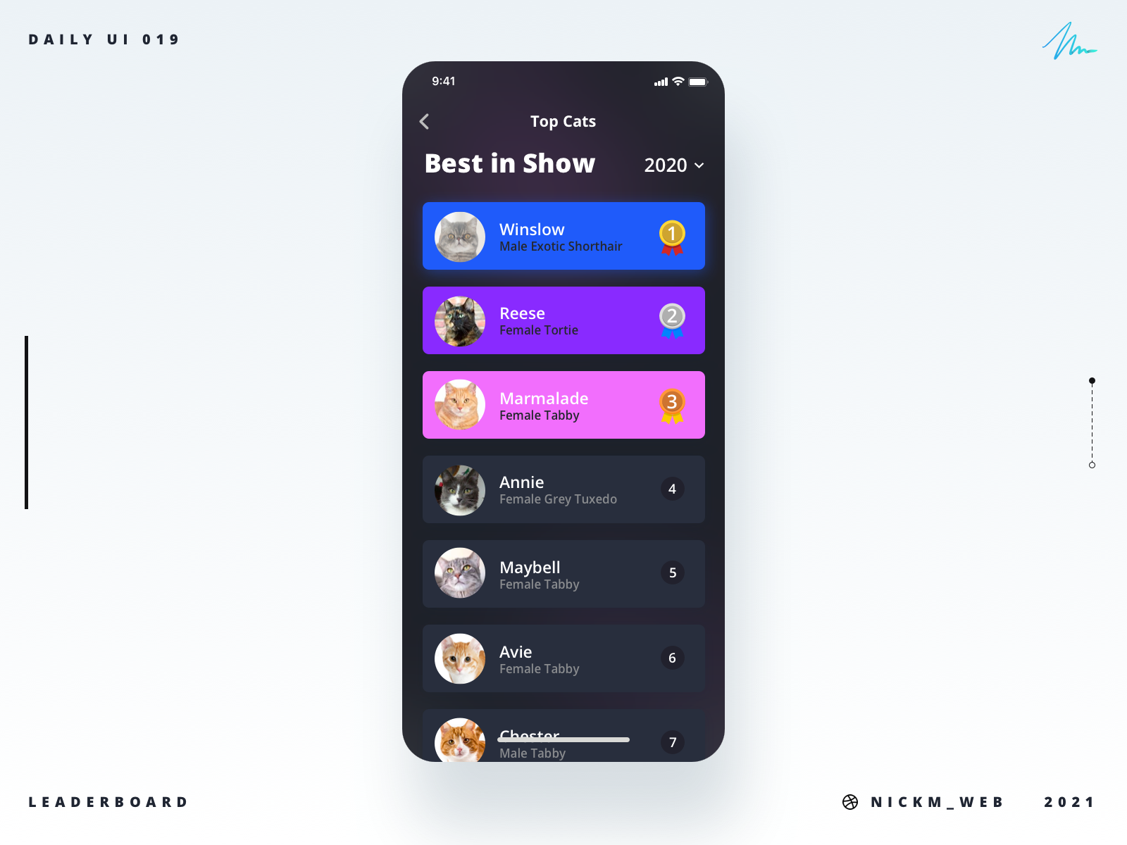 Cat Show Leaderboard | Daily UI Challenge 019 (Leaderboard) by Nick Miller on Dribbble