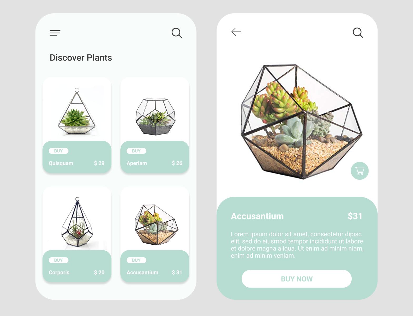 Discover Plants - App by Amanda de Marco on Dribbble