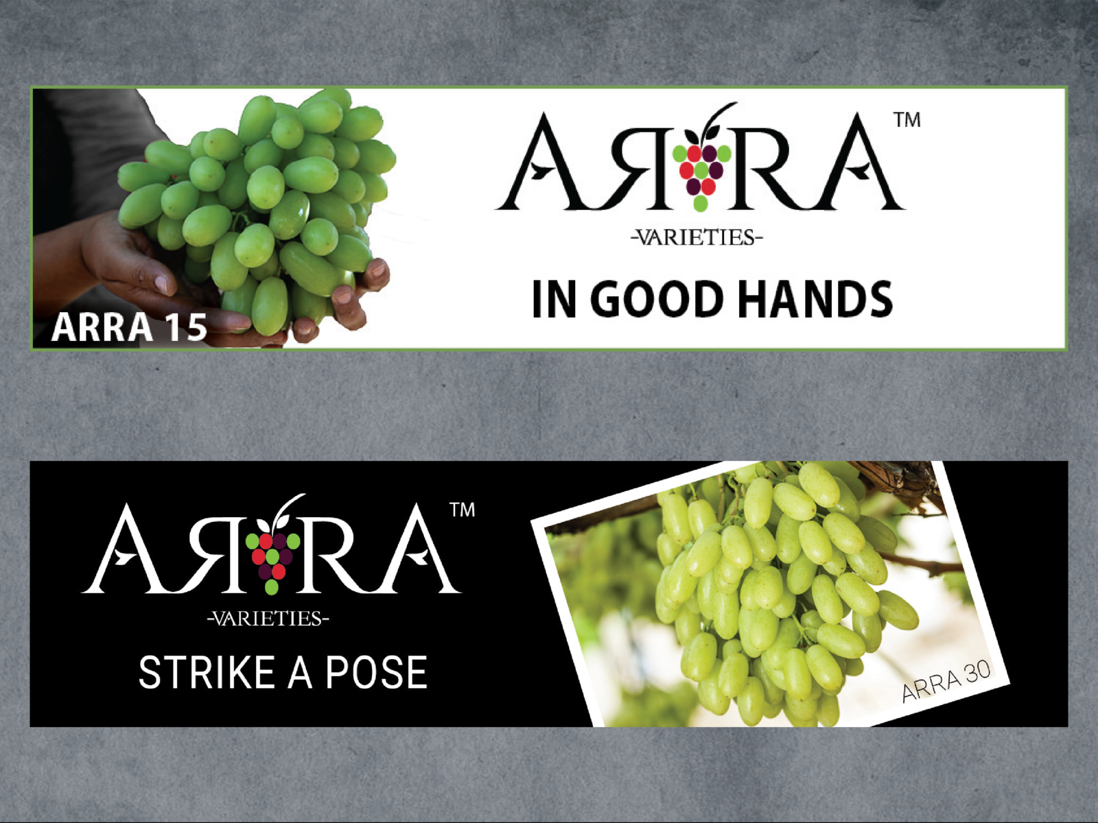 Grape ads by Gittel Marcus on Dribbble