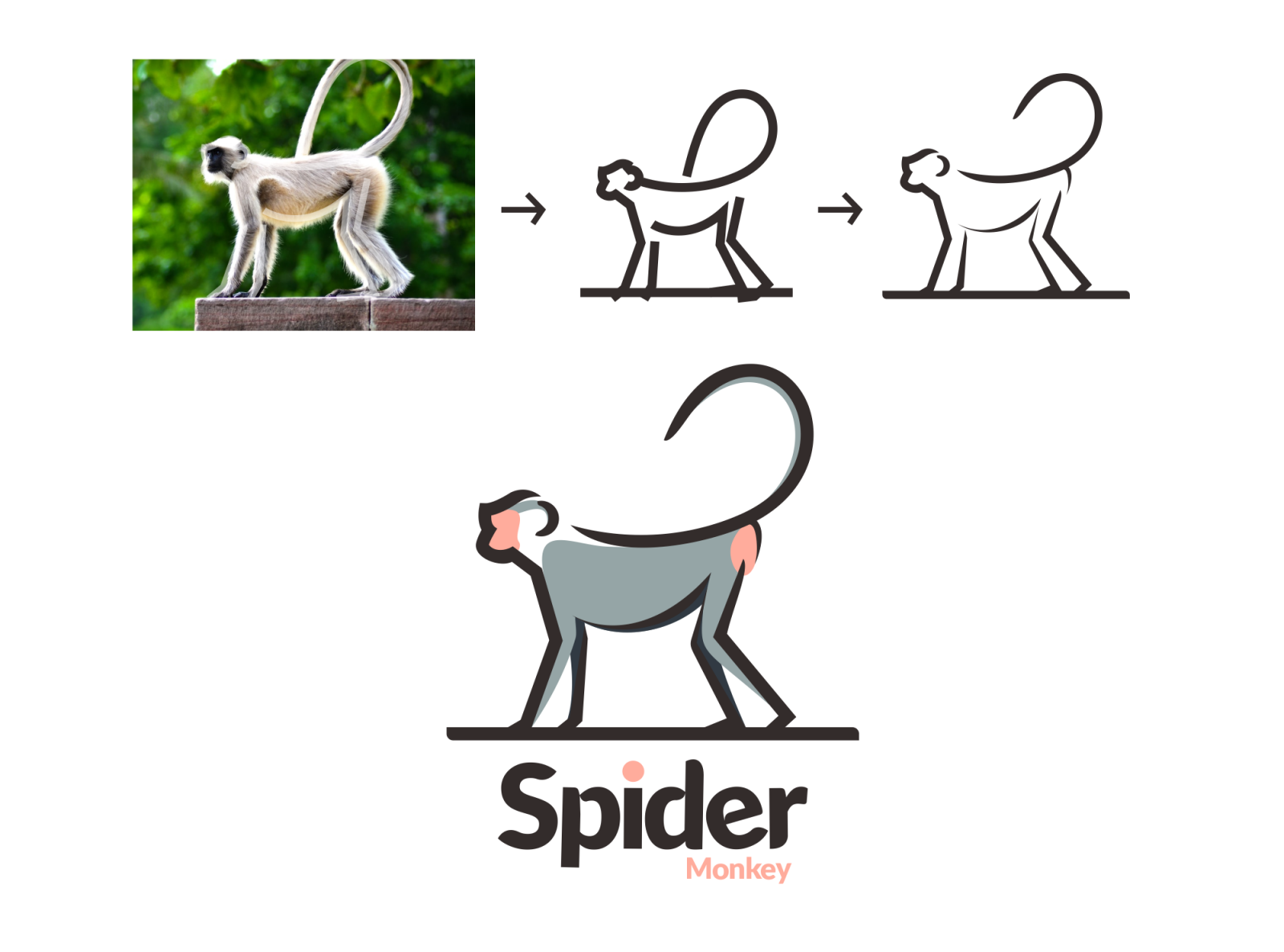Spider Monkey by Garagephic Studio on Dribbble