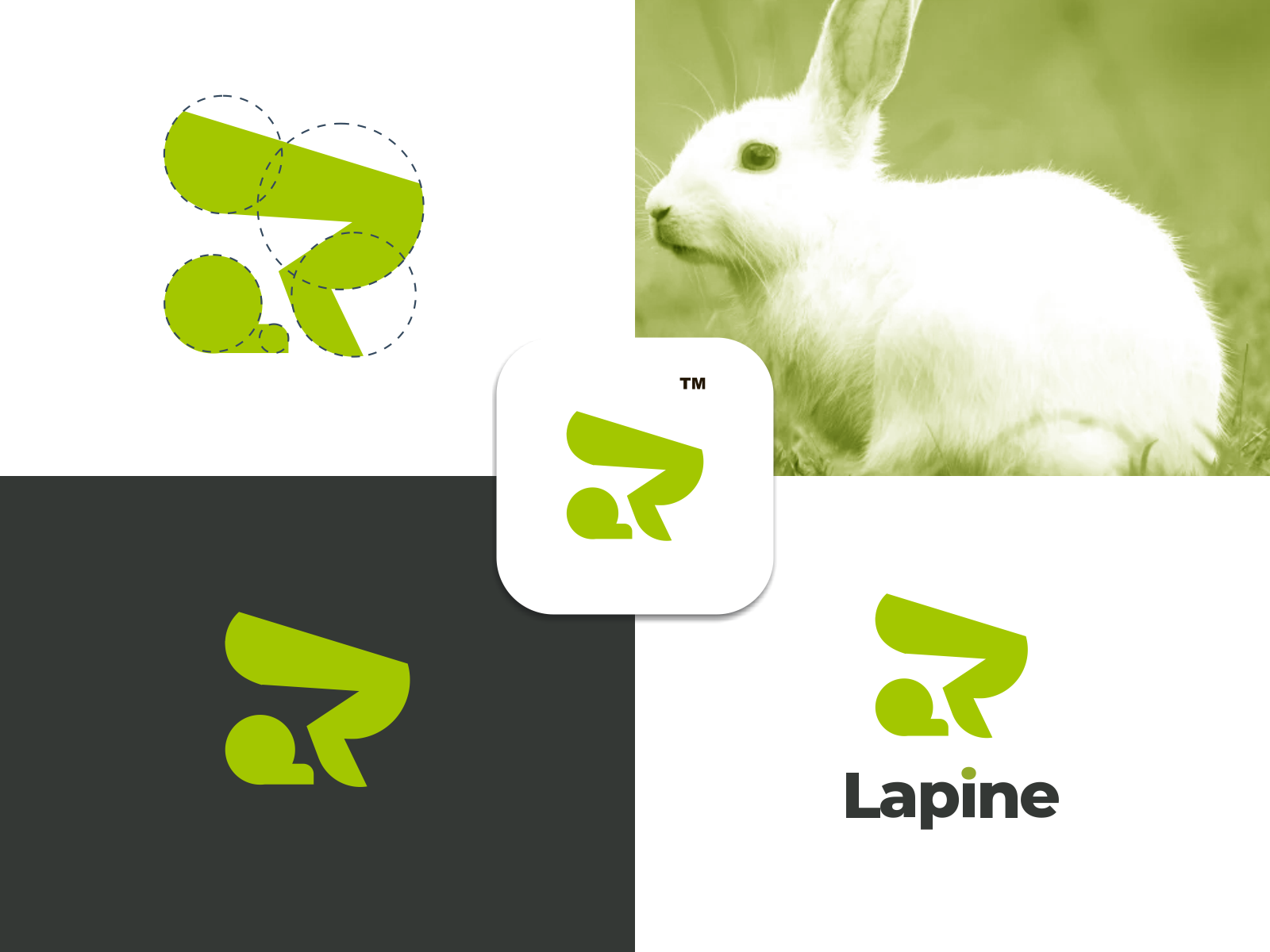 Lapine Logo concept by Garagephic Studio on Dribbble