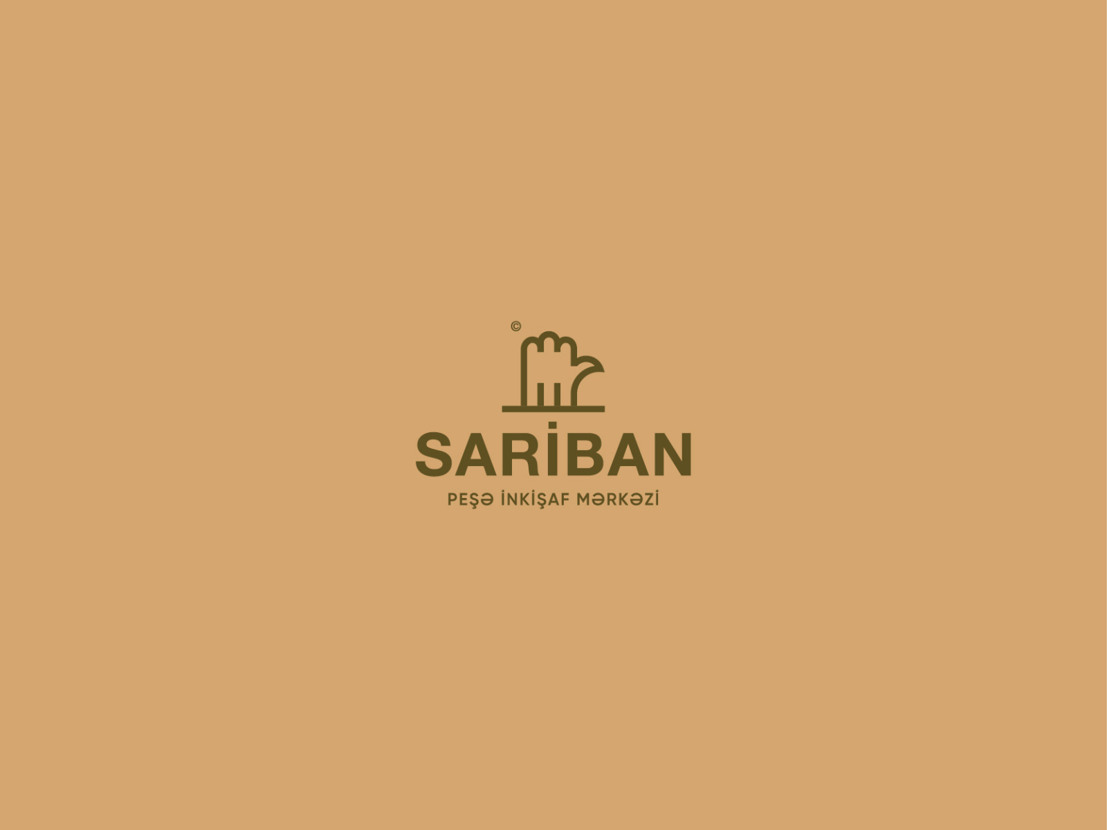 Sariban handmade (karvançı) by Tamerlan on Dribbble