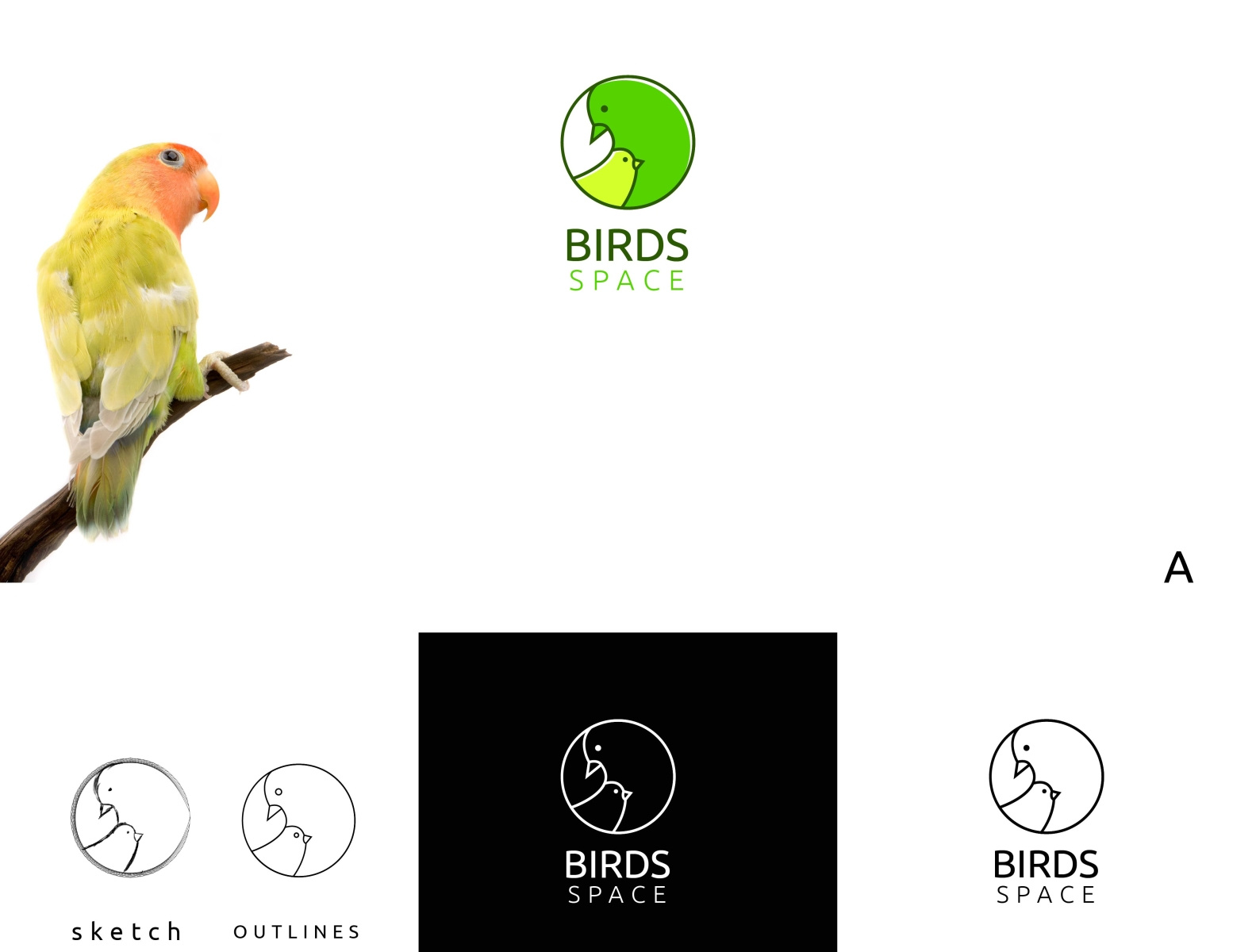 Logo Birds Space A by Youssouf Grafico on Dribbble