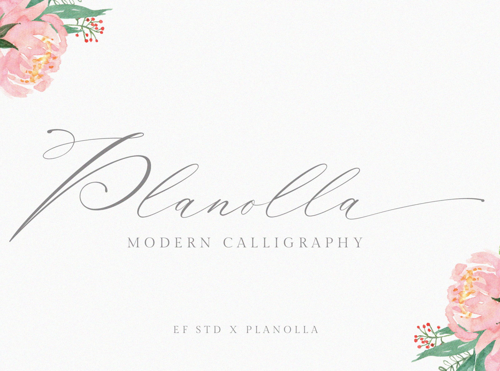 Planolla | Modern Calligraphy by Ef Studio on Dribbble