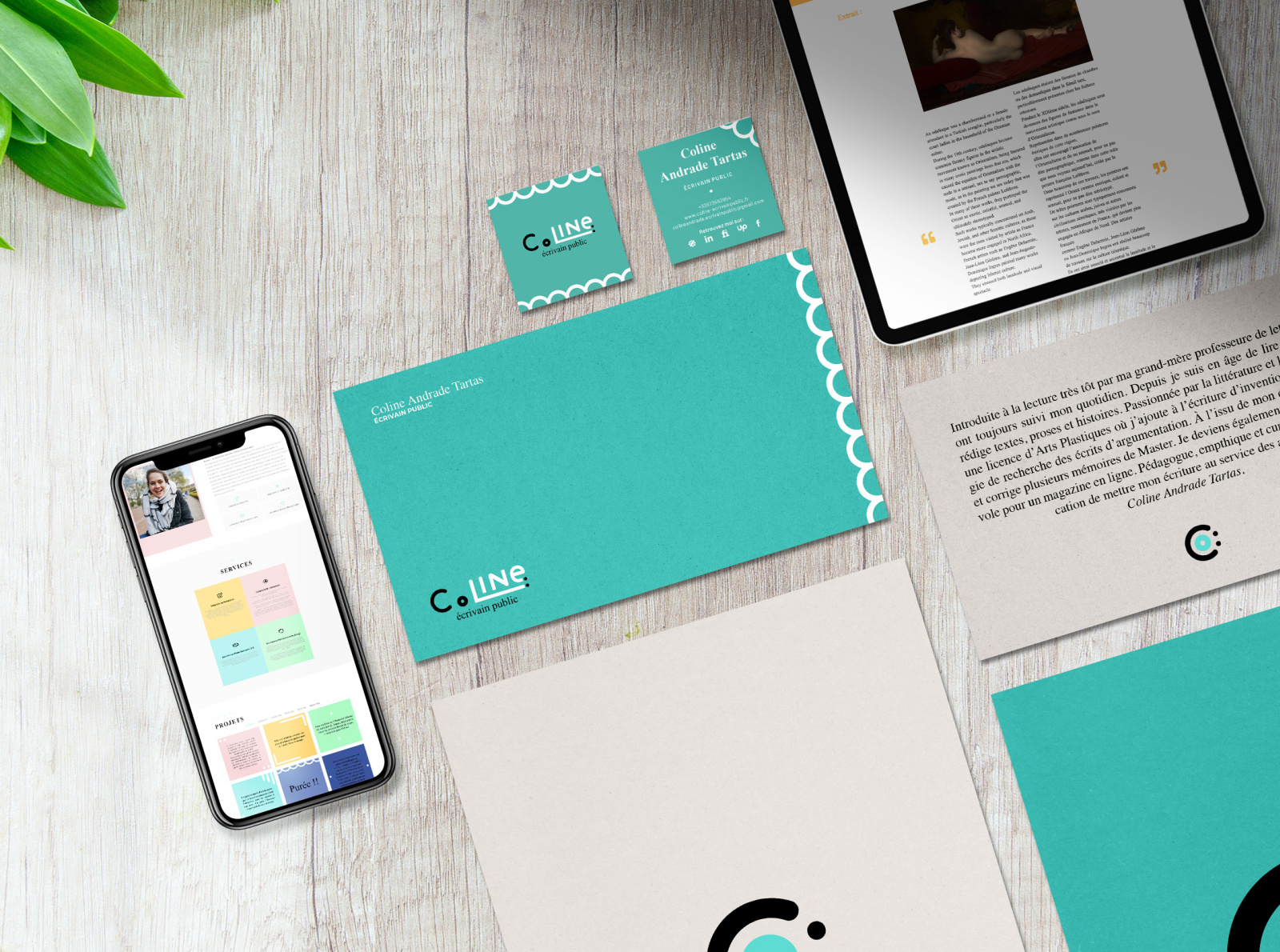 Coline Brand identity by Margaux Simon on Dribbble