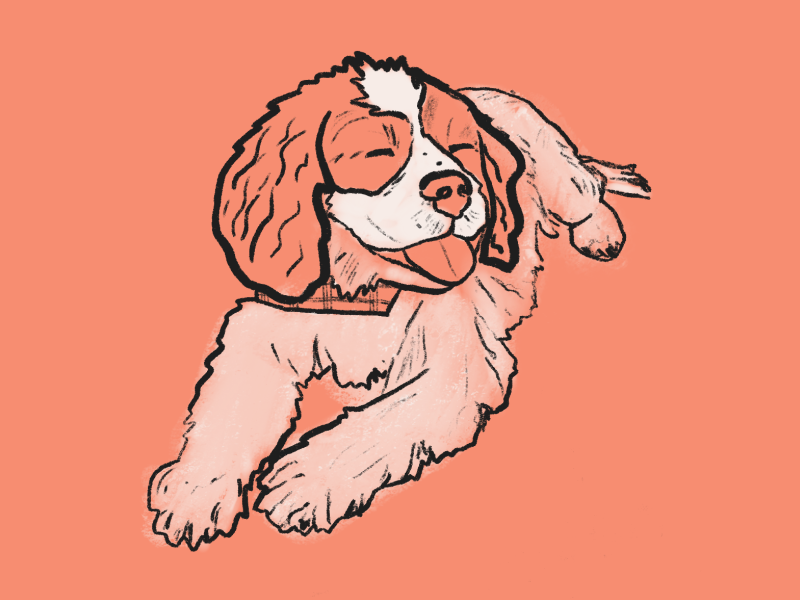 Michelle Dunlap | Dribbble