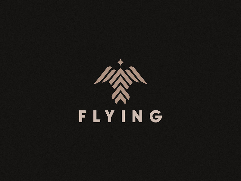 Flying logo design by mSpartan on Dribbble