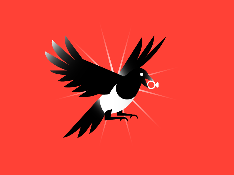 Magpie by Sandro laliashvili on Dribbble