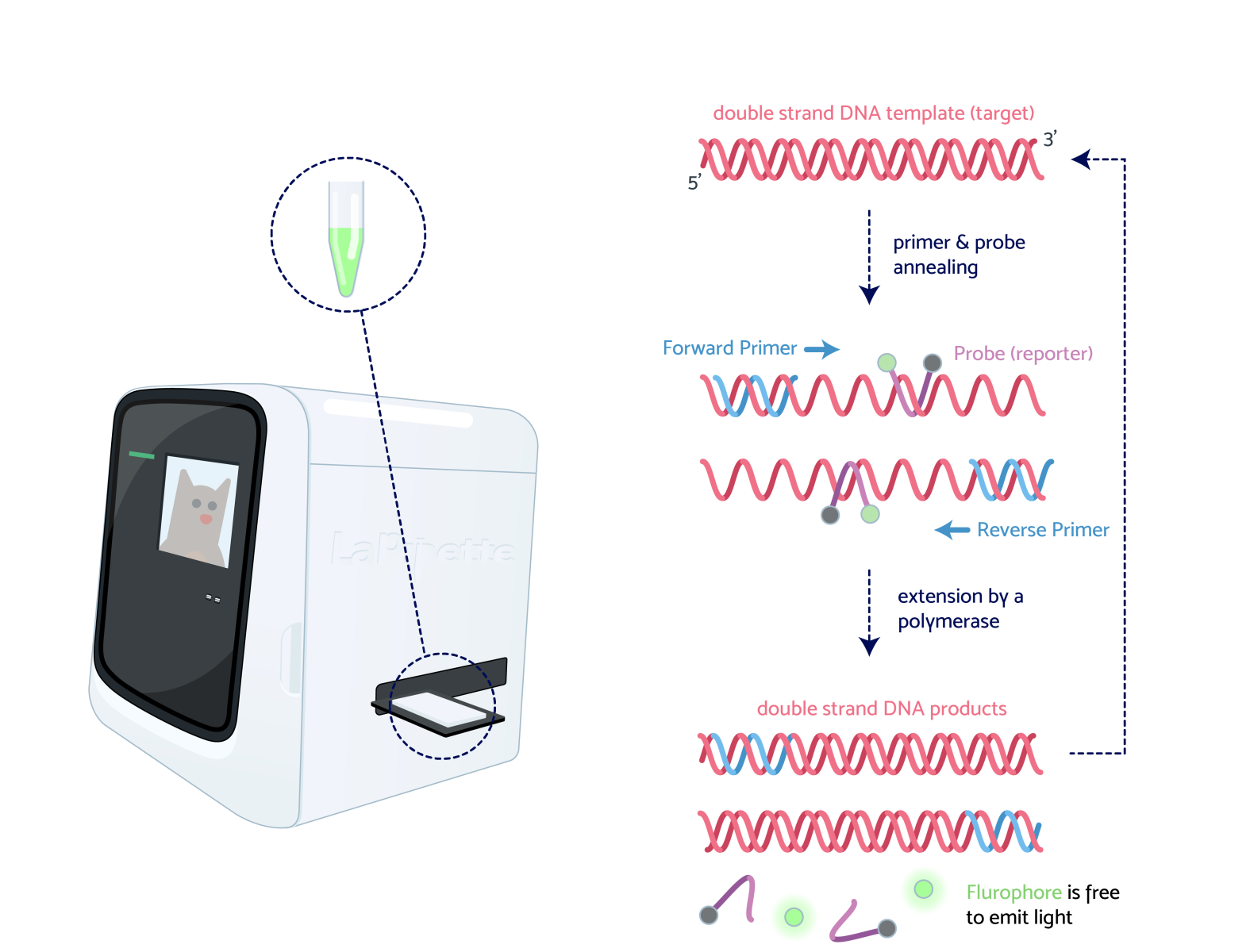 Week9 - qPCR machine by LaPipette on Dribbble