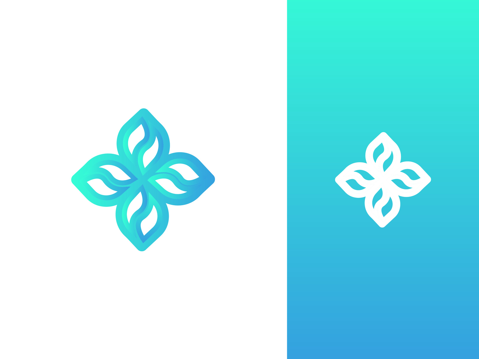 Flower by Ellena on Dribbble