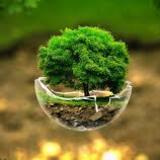 Roblox Mod Apk Unlimited Robux Free by subodh on Dribbble