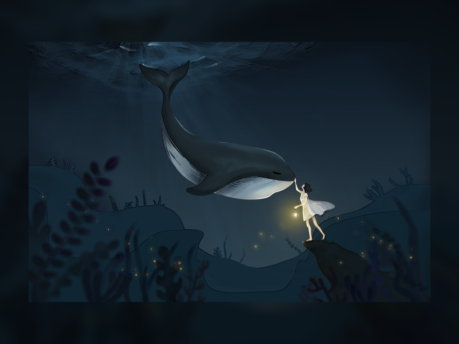 Seize the Light by Binan Zhang on Dribbble